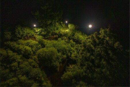 New Publication on Light Pollution's Impacts to Bats - Great Hollow